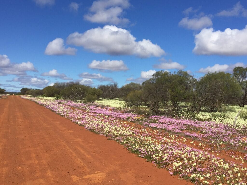Luxury Outback Tours FAQ | Answers to Your Travel Questions